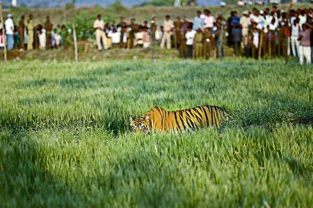 The Complex Reality Of Village Relocation In India – thinkly gold